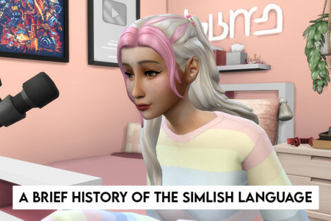 Know Some Everyday Sims Words To Communicate Freely